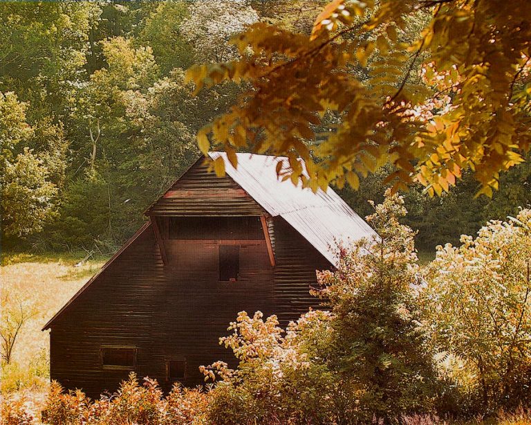 Ultimate Guide to the Cades Cove Drive: Scenic Routes and Tips - Visit ...